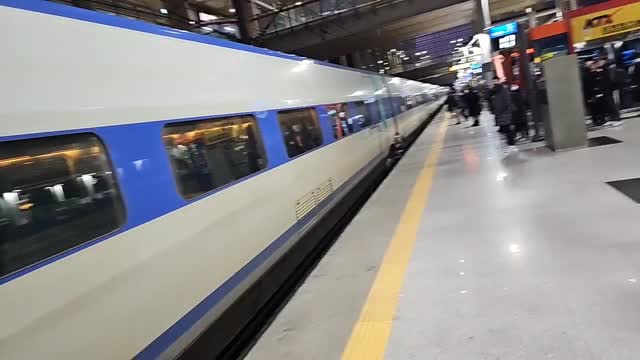 [캐치]생)형들 도와주세요 ktx어떻게 탐?대전가야되는데 ㅅㅂ 범프리카 | SOOP VOD