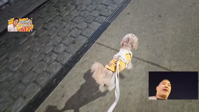 [클립]"Can I pet her?" | SOOP VOD