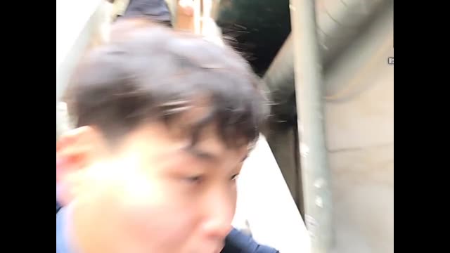 [캐치]더듬이를 어떻게 해야할까요? 애견xNB조성근 | SOOP VOD