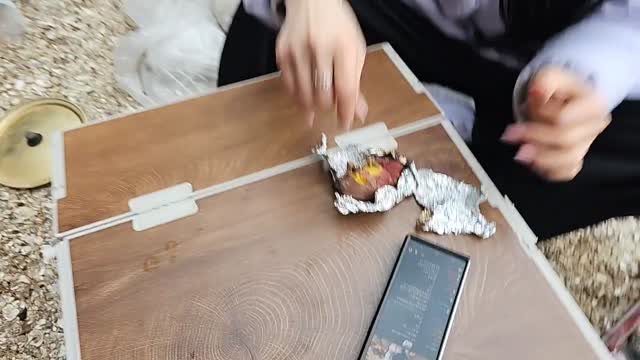 [캐치]무인도 11일차 로나땅 로나3 | SOOP VOD