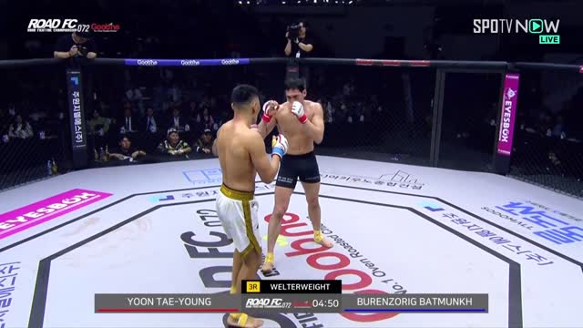 로드 FC 072🥊윤태영 vs 뷰렉조릭🥊3회전 웰터급 | SOOP VOD