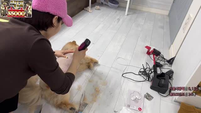 [클립]브이로그7 | SOOP VOD