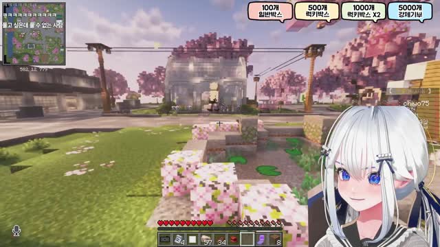 [캐치]금도끼 기믹 | SOOP VOD