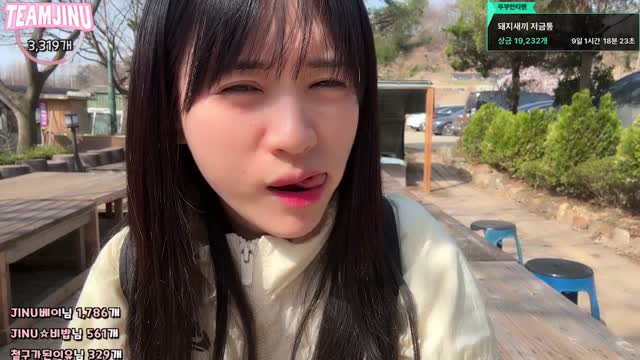 [캐치]운재쿤 : 채소야! 아 뚜부! | SOOP VOD