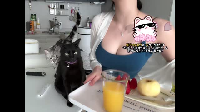 ️ 킹아서 ️ | SOOP VOD