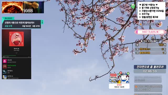 [클립] 허니꼬모♡에게 별풍선 285개 선물 | SOOP VOD