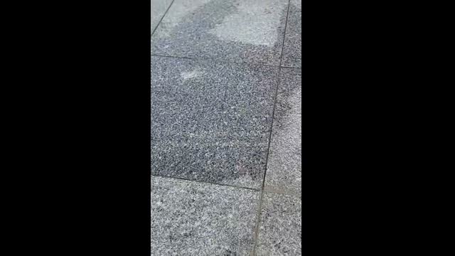 건전해 르블키니 [씨나인] 씨나인 비키니 레전드 다시보기x mt | SOOP VOD