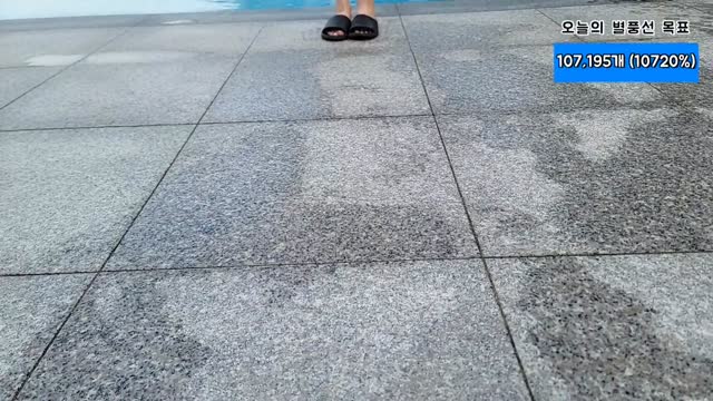 [클립][씨나인] 씨나인 비키니 레전드 다시보기x mt | SOOP VOD