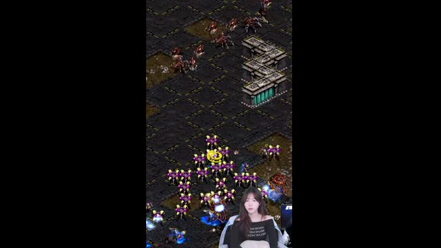 [캐치][츠캄몬스타즈😈]ASL S19 16강 B조 저그응원방~ 먹먹마X | SOOP VOD