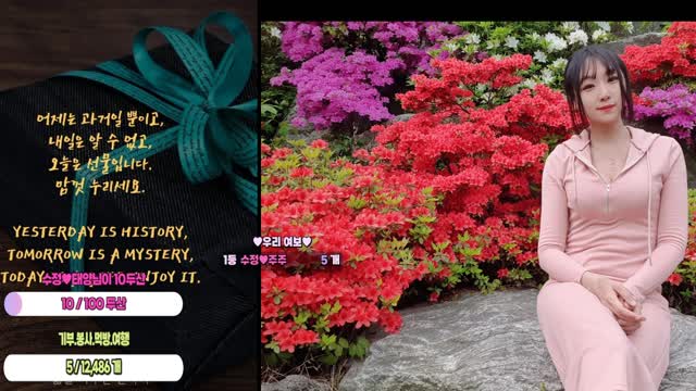 [클립] [SU]BJ수정에게 별풍선 1491개 선물 | SOOP VOD