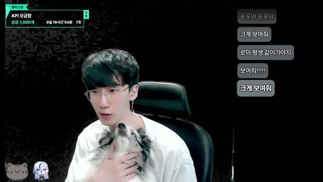 [캐치][정규군] 전쟁중 API가 바뀌었습니다! 도와주세요 [룰렛50개] | SOOP VOD