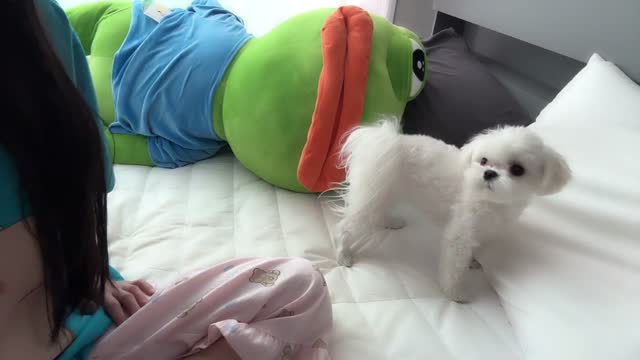 [캐치]선민96 | SOOP VOD