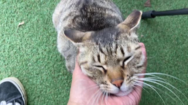 [클립]쉼터에선 쭈글모드 다다 | SOOP VOD