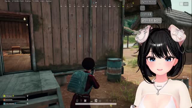 오늘도 노줌 dmr로 킬하는 담비 | SOOP VOD