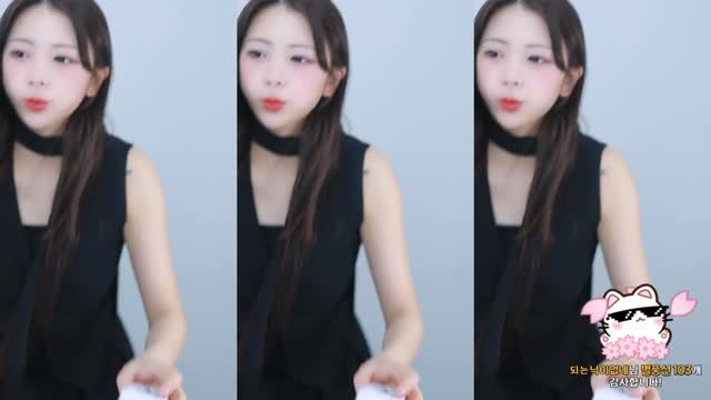 [캐치]안녕하세요 뉴시그 103 | SOOP VOD