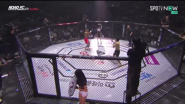 로드FC 073🥊박형근 vs 하라구치 ,2 라운드 | SOOP VOD