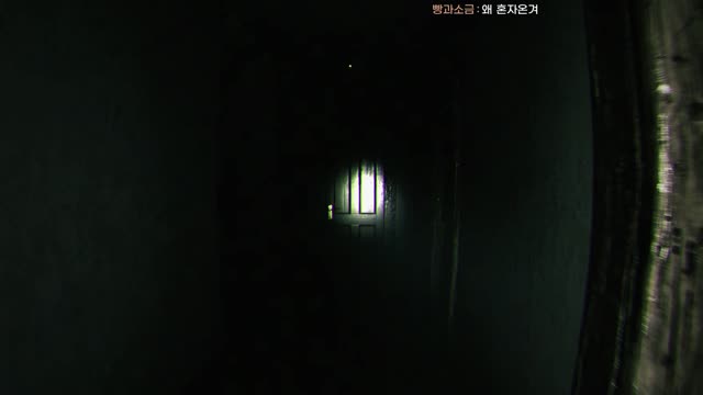 [수탉] 이해할 수 없는 공겜의 특징 (게임: Vesnith Tapes) | SOOP VOD