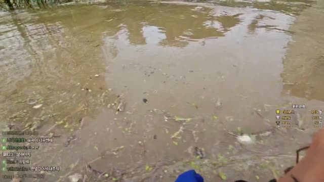 [캐치]충남)홍수대피령ㅡ서산/아산 강수량419mm | SOOP VOD