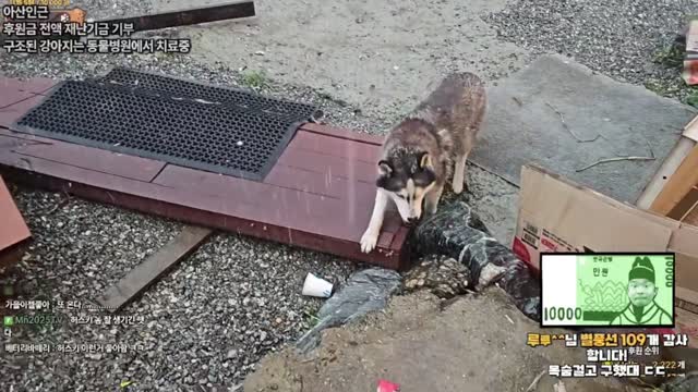 [클립]충남)홍수대피령ㅡ서산/아산 강수량419mm | SOOP VOD