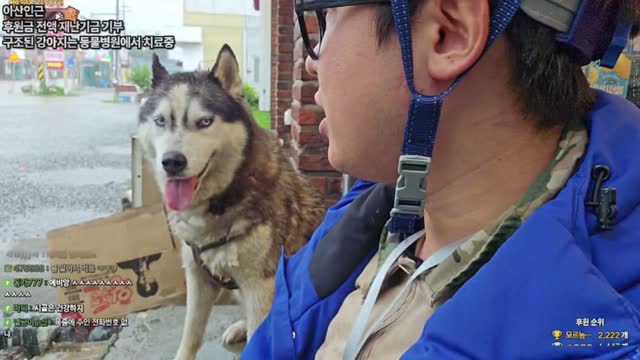 [클립]충남)홍수대피령ㅡ서산/아산 강수량419mm | SOOP VOD