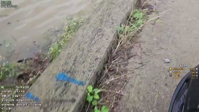 [캐치]충남)홍수대피령ㅡ서산/아산 강수량419mm | SOOP VOD