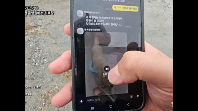 [캐치]충남)홍수대피령ㅡ서산/아산 강수량419mm | SOOP VOD