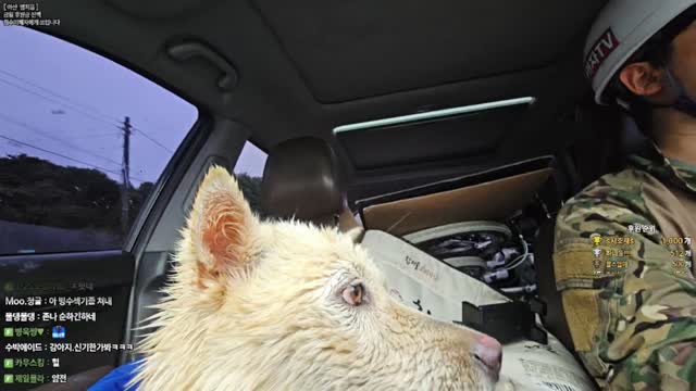 [클립]충남)홍수대피령ㅡ서산/아산 강수량419mm | SOOP VOD