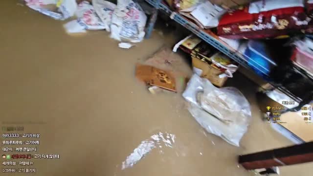 [캐치]충남)홍수대피령ㅡ서산/아산 강수량419mm | SOOP VOD