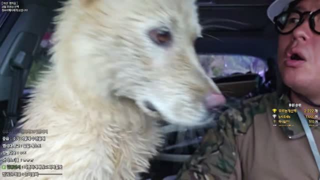 [클립]충남)홍수대피령ㅡ서산/아산 강수량419mm | SOOP VOD