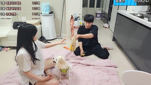 [클립][엠비] 세상에 나쁜 개는 없다. 몽순편ft독티쳐 | SOOP VOD