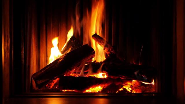 불멍 12 | SOOP VOD