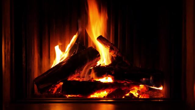 불멍 14 | SOOP VOD