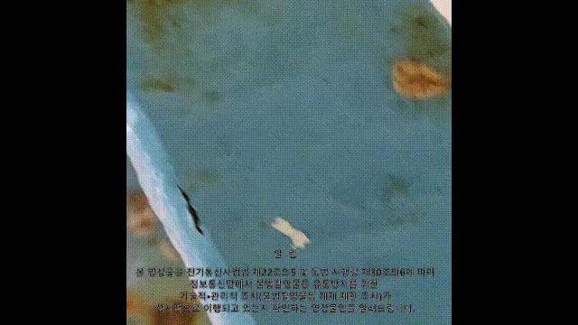 [캐치]유해정67 | SOOP VOD