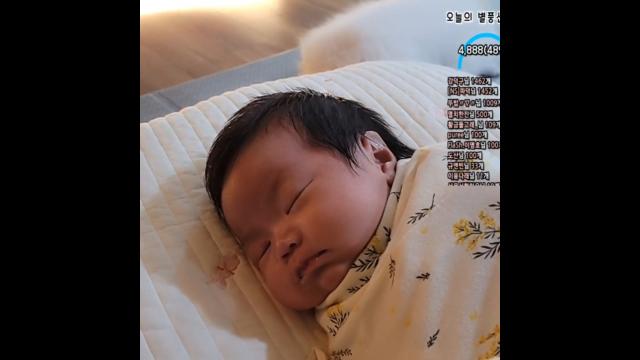 [캐치]🐰박소미(딸)🐰BJ서윤♥:)🐰 | SOOP VOD