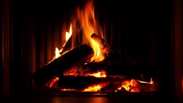 불멍 (8) | SOOP VOD