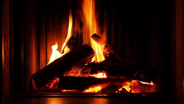 불멍 (11) | SOOP VOD