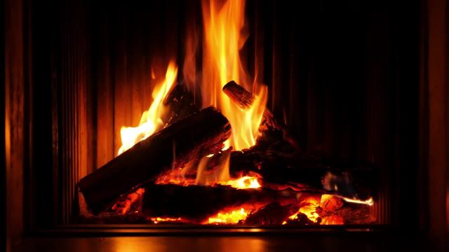 불멍 (15) | SOOP VOD