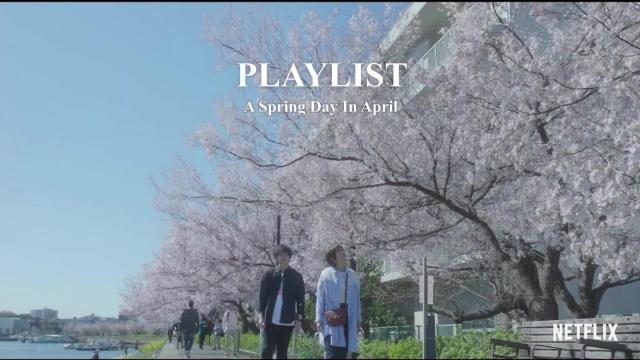 spring project | SOOP VOD