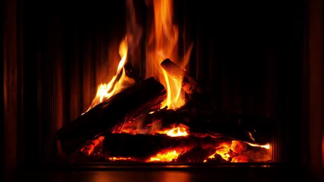 불멍 (23) | SOOP VOD