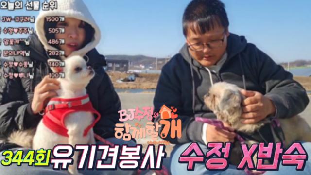 344회 유기견봉사xBJ반숙xBJ강엄마 | SOOP VOD
