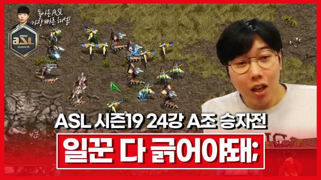 이건 두부대 나와야 막거든요!? [ASL 시즌19 24강 A조 승자전] | SOOP VOD