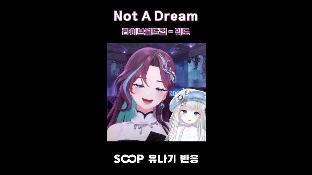 [유나기반응] 라이브월드컵 / 위도 - Not A Dream | SOOP VOD