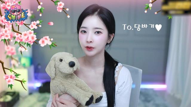 당바기에게 | SOOP VOD