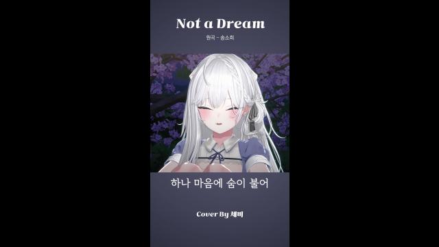 [캐치]체비 Not a Dream (송소희) | SOOP VOD