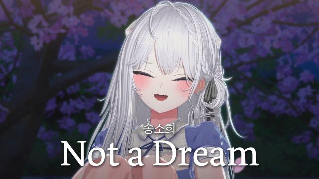 [체비] 송소희 - Not a Dream | Live Cover | SOOP VOD