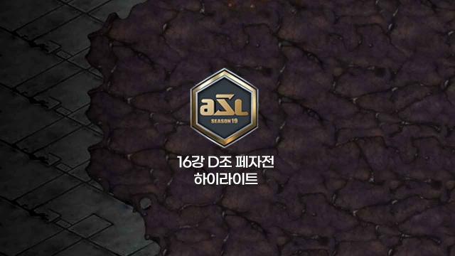 16강 D조 패자전 하이라이트 | ASL S19 | SOOP VOD
