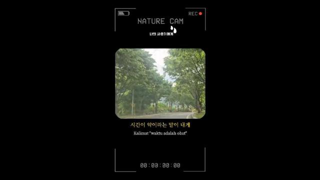 나의 사춘기에게 | SOOP VOD