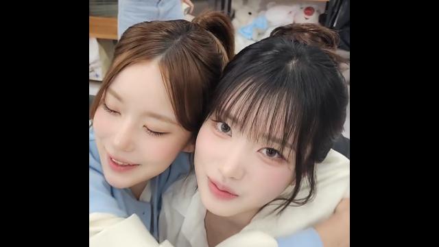 [캐치][최가네] 누가 예뻐? (밤비x예린x로링) | SOOP VOD